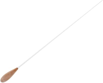 Amazon.com: Music Baton - Orchestra Baton - Music Band Conducting Baton ...