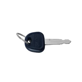 Amazon.com: Sany Ignition Key 60022654 : Automotive