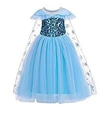 Buy Ojas Fashion Fairy Dress Costume Birthday Dress,School Function ...
