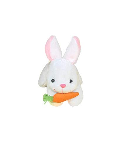 Buy Rishi Quality White Plush Rabbit with Carrot Soft Toy. Stuffed Soft ...