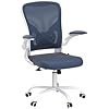 Amazon.com: Flysky Ergonomic Office Chair, Mesh Home Office Desk Chair ...