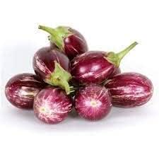 F1 Hybrid Baingan Seeds Pack of 50 : Amazon.in: Garden & Outdoors