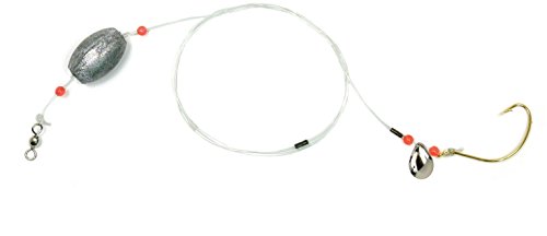 Ultimate Guide On The Best flounder rigs In 2022 - licorize