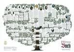 Klassik Poster Family Tree of the Bach Family : Amazon.de: Home & Kitchen