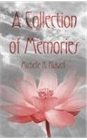 A Collection Of Memories: Kidwell, Michelle R.: 9781413716429: Amazon ...
