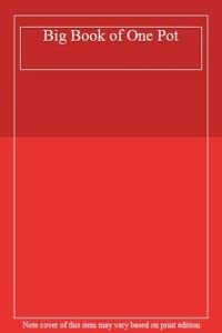 Buy Big Book of One Pot Book Online at Low Prices in India | Big Book ...