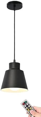 Pendant Lamp Pendant Light Fixture Battery Operated with Remote,Non ...