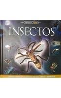 Amazon.com: Insectos Aprendizaje en Accion/ Insects Learning in Action ...
