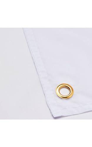 Runesol Wiltshire Flag, 91x152cm, 3ft x 5ft, 4 Grommets, Eyelet In ...