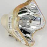 Amazon.com: projector bulb POA-LMP114 LMP114 POA-LMP135 LMP135 lamp for ...