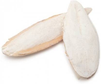 Buy Cuttlefish Bones for Birds Calcium 100g / CUTTLEBONES for Birds ...