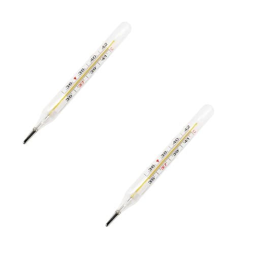 Top 10 Best Dual Thermometer For Adults : Reviews & Buying Guide - Katynel