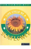 Sunflower (Life Cycles): Cooper, Jason: 9781589527089: Amazon.com: Books