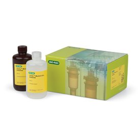 Bio Rad Clarity Western ECL Substrate 500 ML Contains 250 Ml Clarity ...