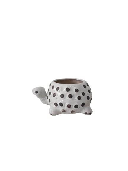 Nested Greens - Unique Dotted Turtle Ceramic Pot 4" x 4.5" Inch| Indoor ...