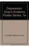 Depression: Gray's Anatomy Poster Series: 9780443067952: Medicine ...