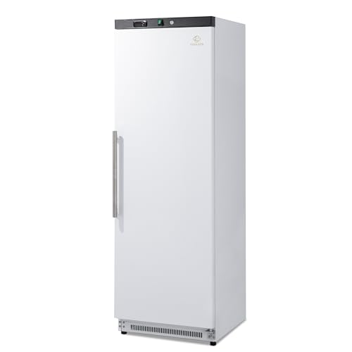Best Commercial Reach-in Freezers for Restaurant Kitchens – Kitchen ...