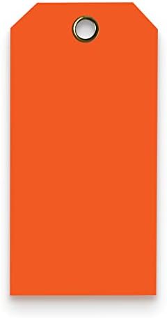 Amazon.com : Blank Heavy Duty 15 Mil Waterproof Plastic Tags with ...