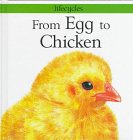From Egg to Chicken (Lifecycles): Amazon.co.uk: Legg, Gerald, Salariya ...