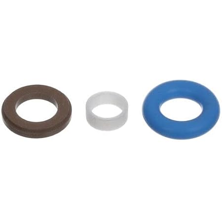 Amazon.com: Genuine Volvo 30731386, Fuel Injector O-Ring Kit (4.4L V8 ...