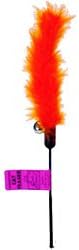 Amazon.com : Cats Claws I.C.A.T.S. Attachment Cat Toy : Pet Feather ...