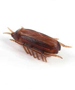 Buy SRM Electronic Cockroach Vibrating Prank Toy - Brown Online at Low ...