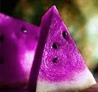 5 x Purple Watermelon Fruit Seeds;Seeds Only : Buy Online at Best Price ...