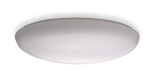 Lithonia Lighting DFMR19 M6 Diffuser for 19-Inch Low Profile Round ...