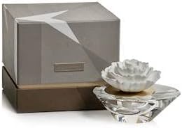 Amazon.com: Zodax Moroccan Peony - Dream Mini Porcelain Diffuser ...