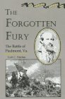 The Forgotten Fury: The Battle of Piedmont, Virginia: Patchan, Scott C ...
