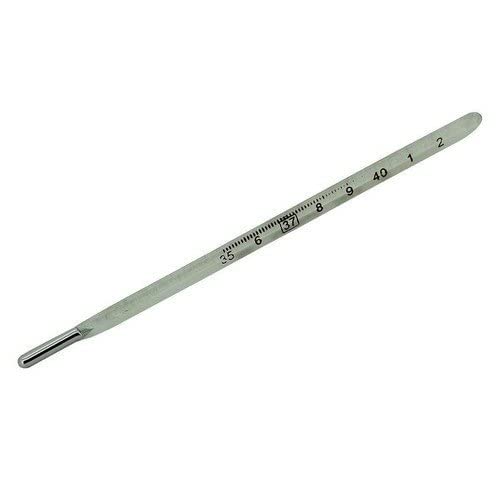 SMIC Mercury Thermometer Clinical, Prismatic, Economy model : Amazon.in ...