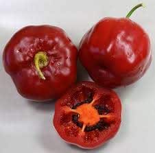 Amazon.com : 10pcs Red Giant Rocoto Vegetable Seeds Generic : Patio ...