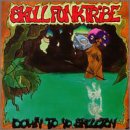 Skull Funk Tribe - Down to Yo Skeleton - Amazon.com Music