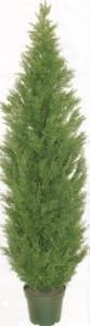 Amazon.com - Silk Tree Warehouse Six 6 Foot Artificial Cedar Topiary ...