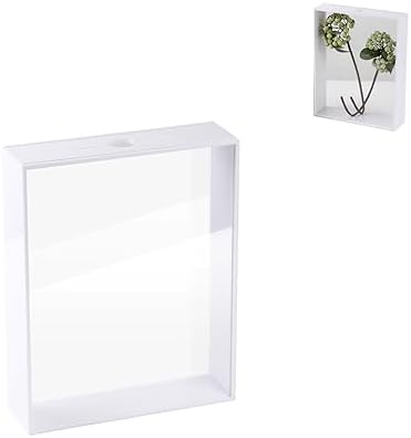 Amazon.com - Lxmxgk 8x10 Acrylic Top Loading Shadow Box, Shadow Box ...