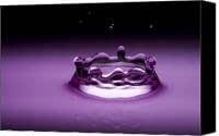 Amazon.com: Water as Glass - Purple 1 Canvas Print / Canvas Art ...