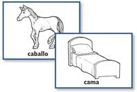 Amazon.com: Spanish Articulation Picture Cards : Everything Else