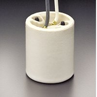 Amazon.com: Porcelain Socket w/Leads : Automotive