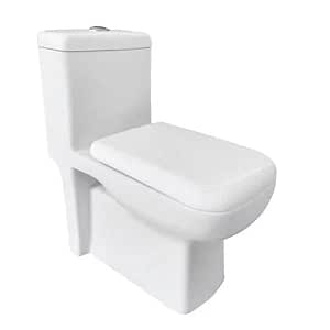 PARRYWARE APPY Range One Piece Floor Mount Western Commode With Soft ...