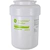 GE MWF Water Filter (MWFINT) : Amazon.ca: Home