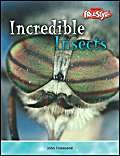 Incredible Insects (Incredible Creatures) : Townsend, John: Amazon.co ...