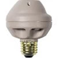 Amazon.com: GE Socket Adapter Smart Remote Plus Compatible : Industrial ...