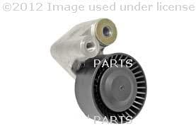 Amazon.com: INA 11-28-1-742-859 Adjusting Pulley Assembly : Industrial ...
