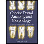 Concise Dental Anatomy & Morphology (4th, 01) by Fuller, Jim [Paperback ...
