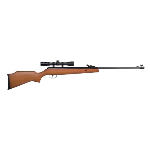 11 Best Air Rifles Reviewed in 2025 | OutdoorWorld Reviews