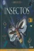 3D Insectos (Spanish Edition): Wemyss, Colville: 9788440685797: Amazon ...