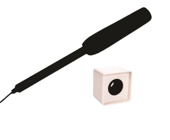 Sound Master Mic for Reporter/Journalist/Interview/News/Youtubers ...