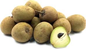 SANJU Cricket Ball Variety Chiku Sapota Sweet Tasty Fleshy Fruit-Hybrid ...