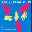 Buy Lady Fingers Online at Low Prices in India | Amazon Music Store ...