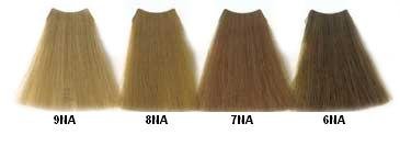 Amazon.com : Vivitone Color #6NA Dark Natural Ash Blonde : Chemical ...